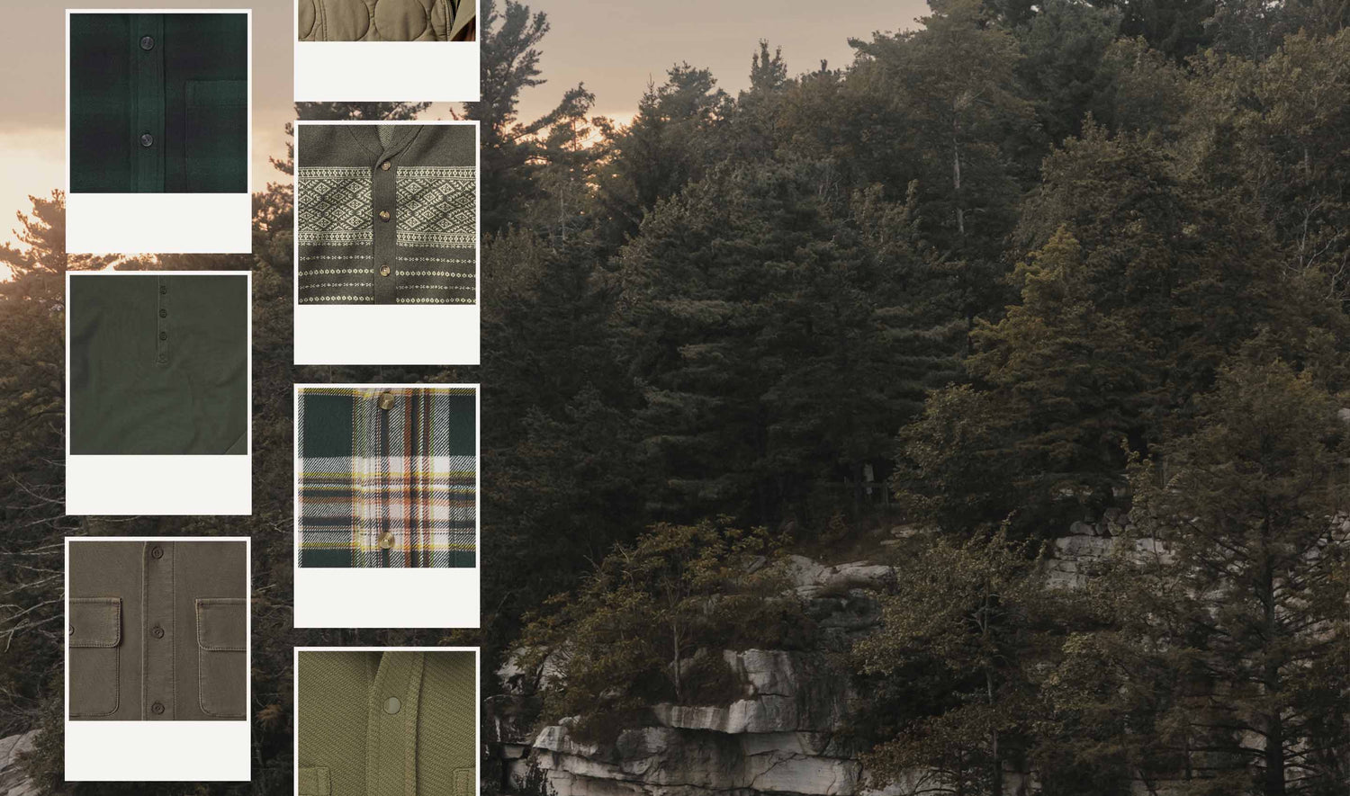 Trending Color: Green – The Normal Brand